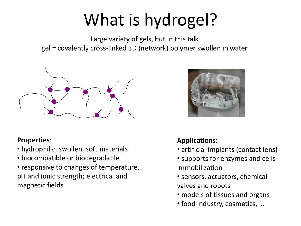 PPT - Morphology Assessment of Polymer Hydrogels Through Multivariate ...