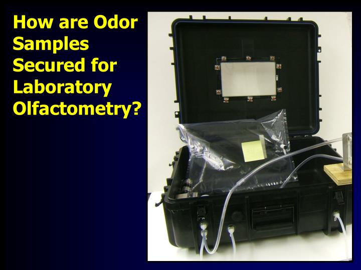 PPT - Field Olfactometry Odor Measurement PowerPoint Presentation - ID ...