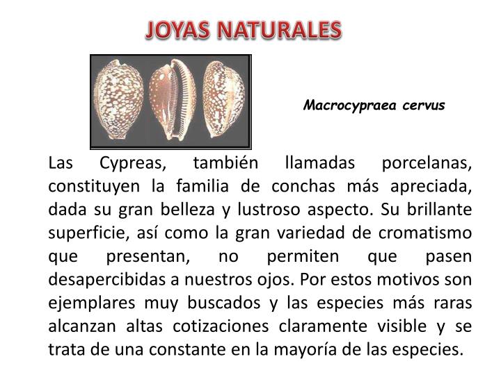 PPT - LAS PERLAS PowerPoint Presentation - ID:1981054