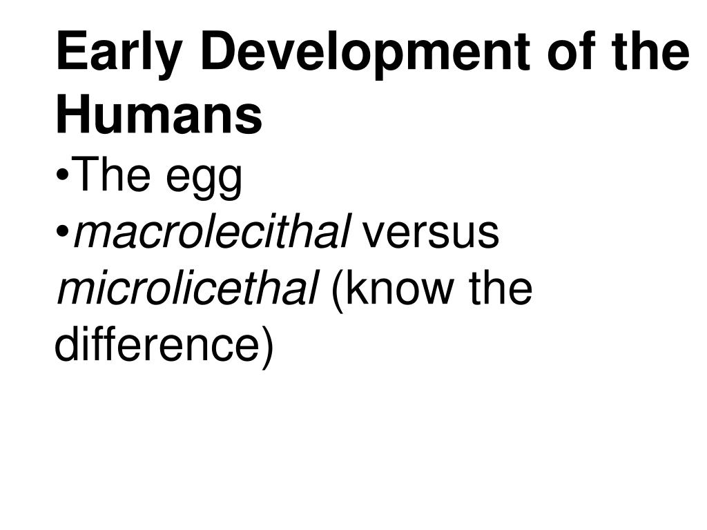 PPT - Biology 323 Human Anatomy for Biology Majors Lecture 1 Dr. Stuart ...