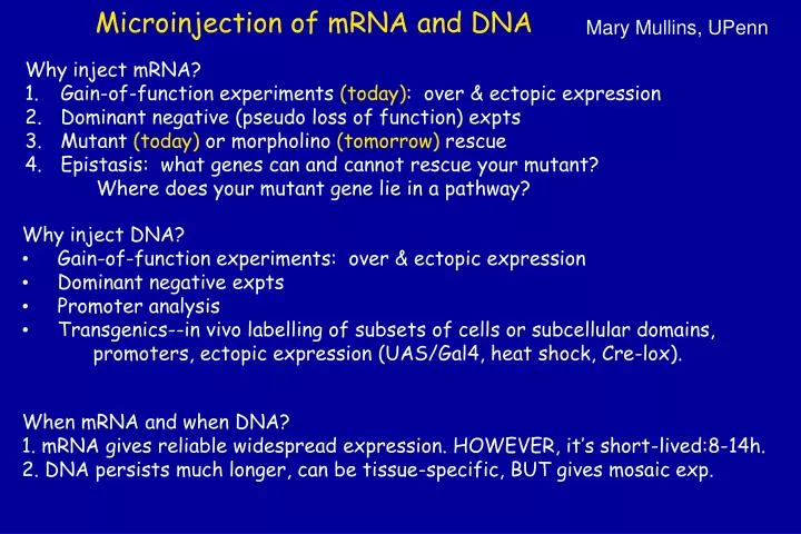 PPT - Microinjection of mRNA and DNA PowerPoint Presentation, free ...