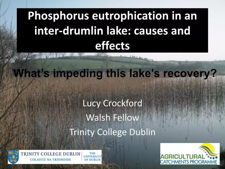 PPT - Phosphorus eutrophication in an inter-drumlin lake: causes and ...