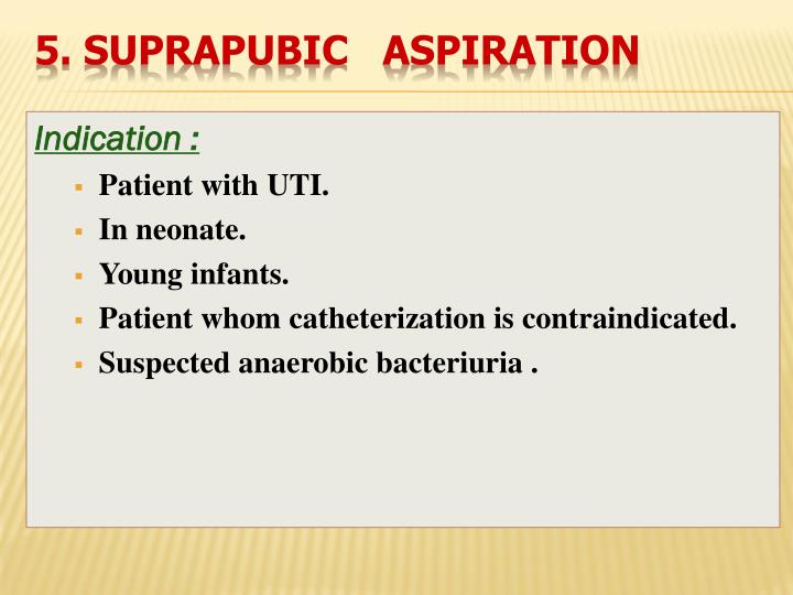 PPT - Prepared by Mrs / Hamdia Mohammed PowerPoint Presentation - ID ...