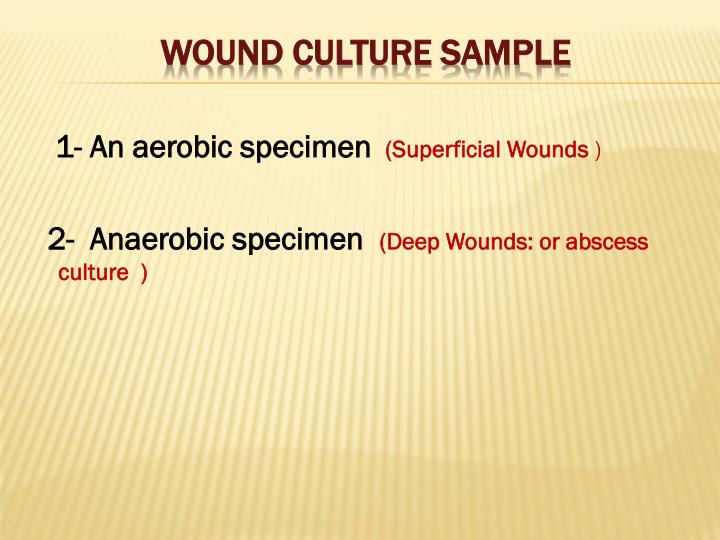 PPT - Prepared by Mrs / Hamdia Mohammed PowerPoint Presentation - ID ...