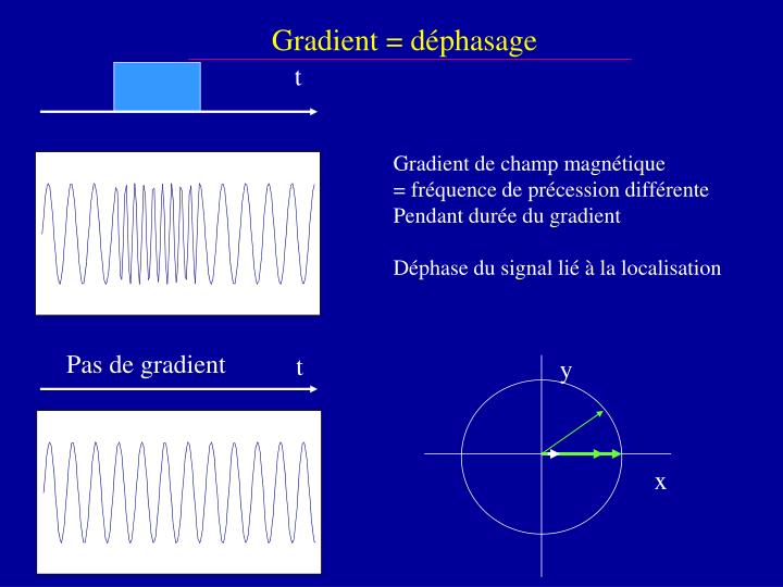 PPT - Base physique IRM Séquences « Echo de Spin » et « Echo de ...