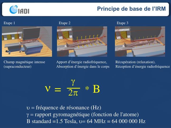 PPT - Base physique IRM Séquences « Echo de Spin » et « Echo de ...