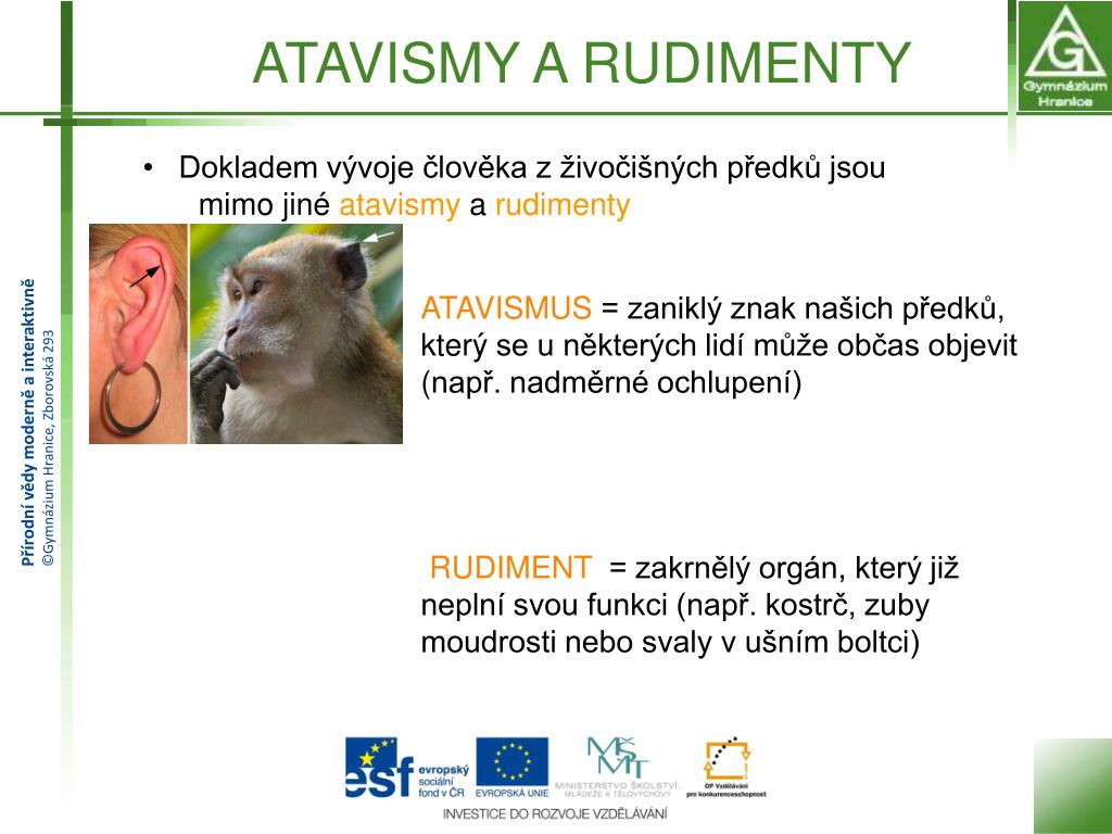 PPT - ČLOVĚK, jeho vývin a původ PowerPoint Presentation, free download ...