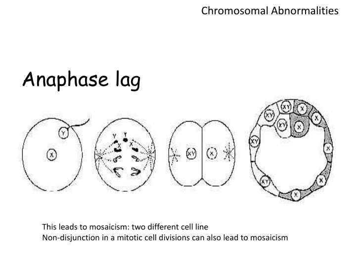PPT - Penetrance Some manifestation or no expression PowerPoint ...