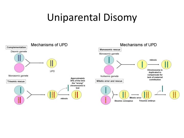 PPT - Penetrance Some manifestation or no expression PowerPoint ...