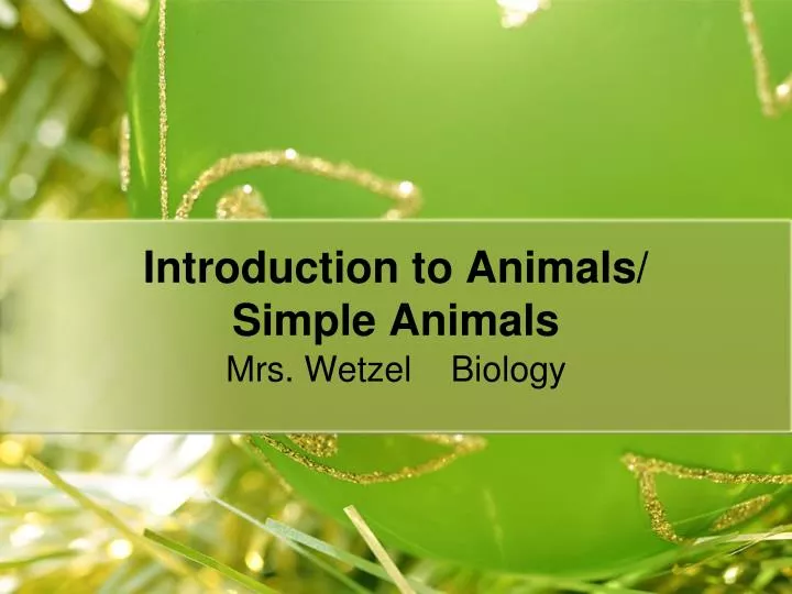 PPT - Introduction to Animals/ Simple Animals PowerPoint Presentation ...