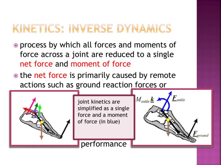 PPT - How Biomechanics Can Improve Sports Performance PowerPoint ...