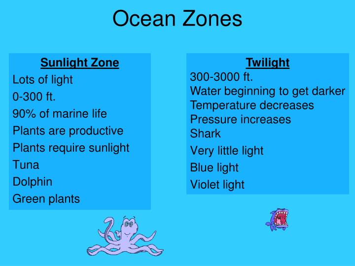 PPT - Ocean Floor PowerPoint Presentation - ID:1982676