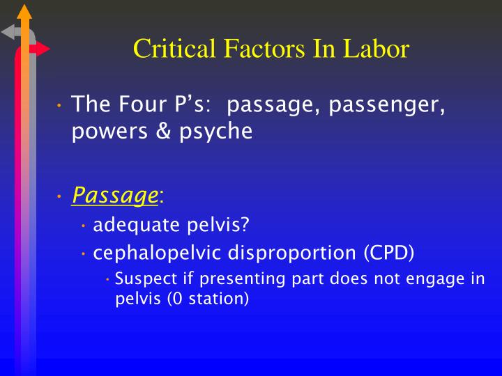 PPT - Chapter 22--Processes & Stages of Labor and Birth PowerPoint ...