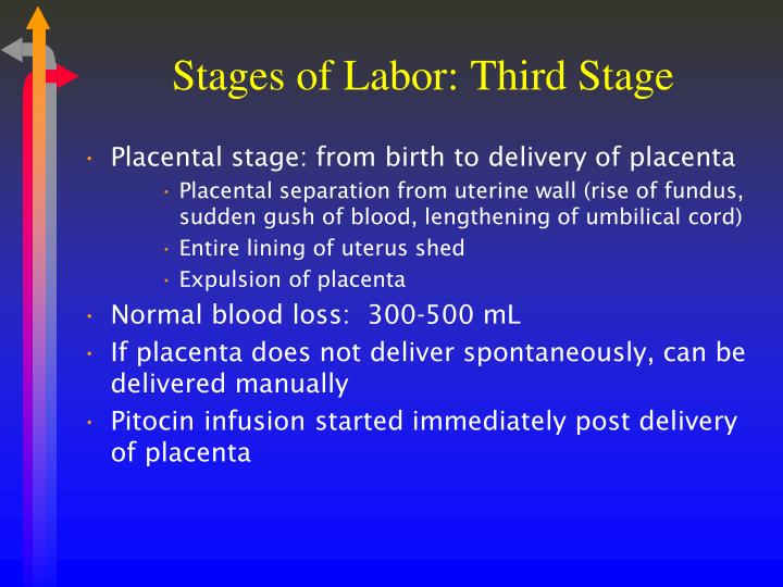 PPT - Chapter 22--Processes & Stages of Labor and Birth PowerPoint ...