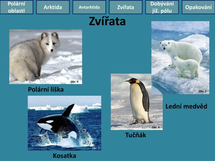 PPT - Polární oblasti PowerPoint Presentation - ID:1982890