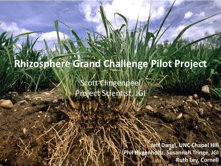 PPT - Jeff Dangl , UNC Chapel Hill Phil Hugenholtz , Susannah Tringe ...