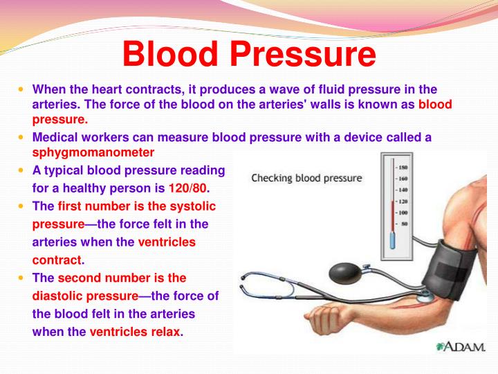 PPT - BODY SYSTEMS PowerPoint Presentation - ID:1984174