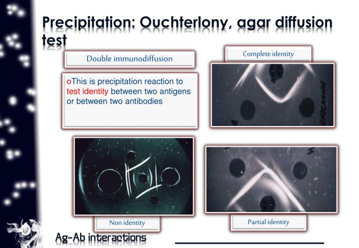 PPT - Agglutination PowerPoint Presentation - ID:1984254
