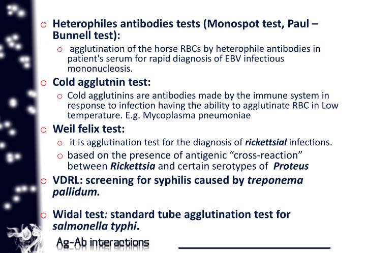 PPT - Agglutination PowerPoint Presentation - ID:1984254