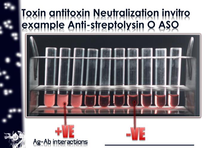 PPT - Agglutination PowerPoint Presentation - ID:1984254