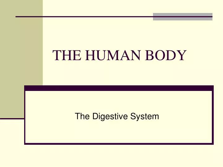 Ppt The Human Body Powerpoint Presentation Free Download Id 1984408