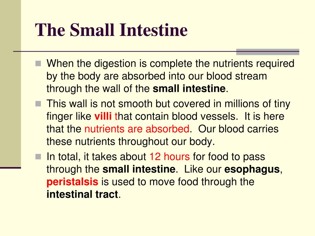 Ppt The Human Body Powerpoint Presentation Free Download Id 1984408