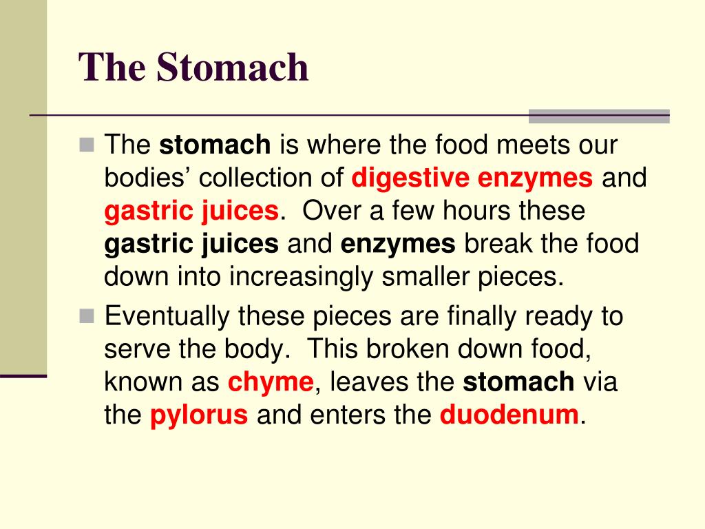 Ppt The Human Body Powerpoint Presentation Free Download Id 1984408