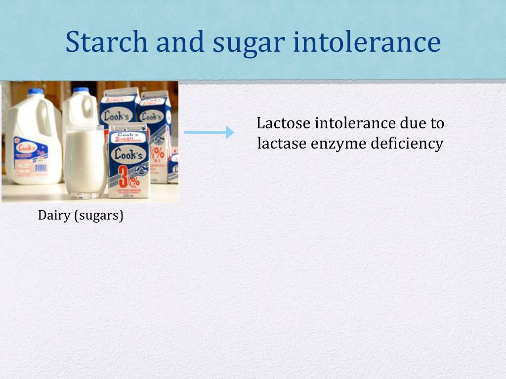 PPT - Enzymes and autism: Gut health, diet, and nutritional balance ...