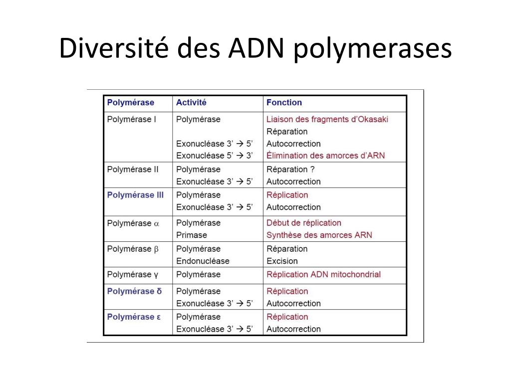 PPT - La transmission de l’information génétique (1) PowerPoint ...