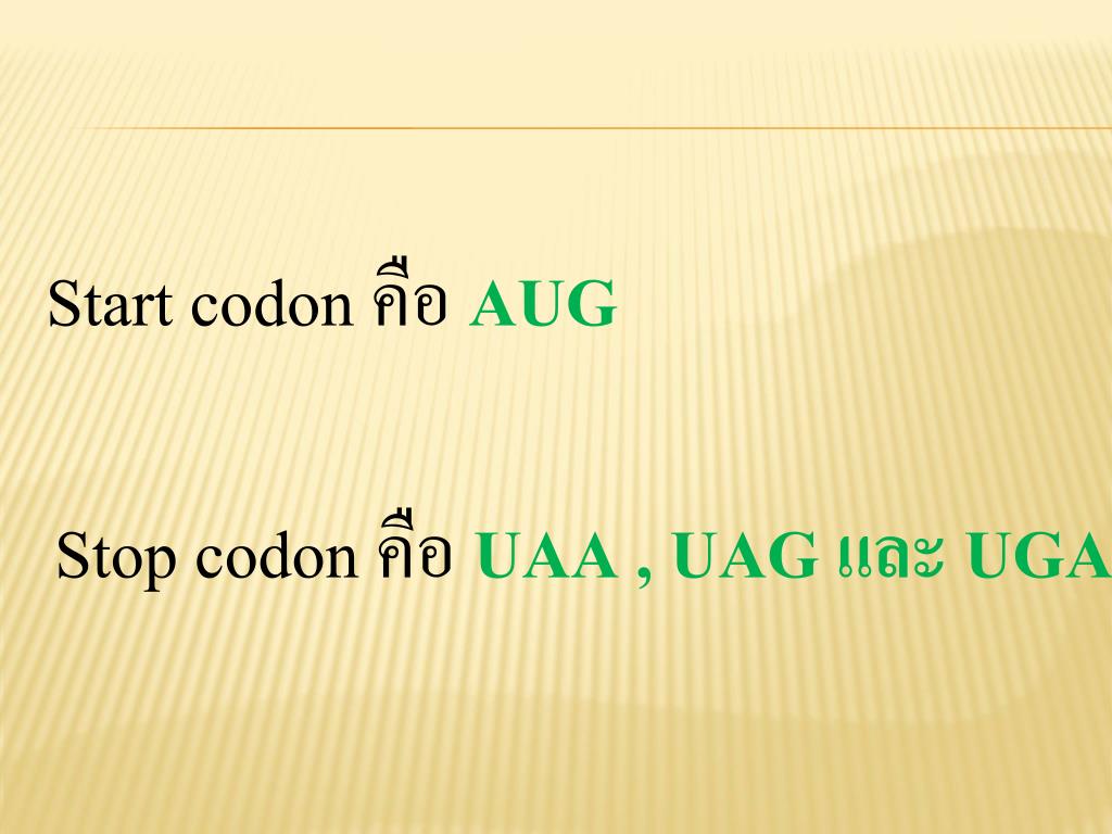 PPT - ยีนและโครโมโซม PowerPoint Presentation - ID:1984915