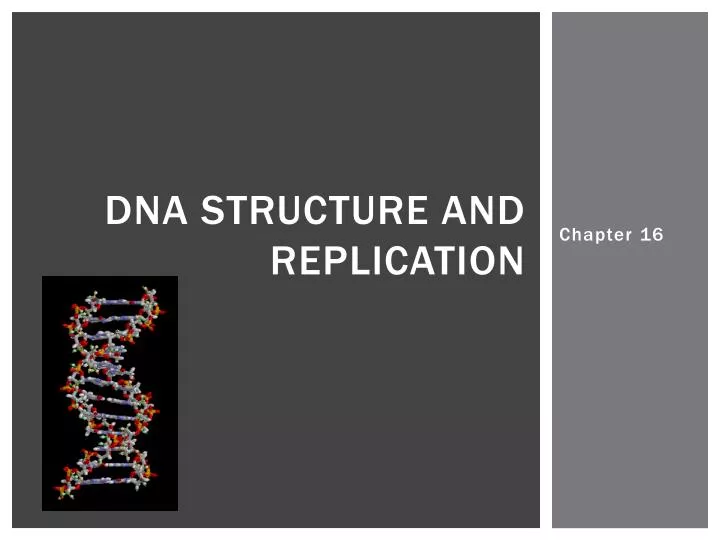 PPT - DNA Structure and Replication PowerPoint Presentation, free ...