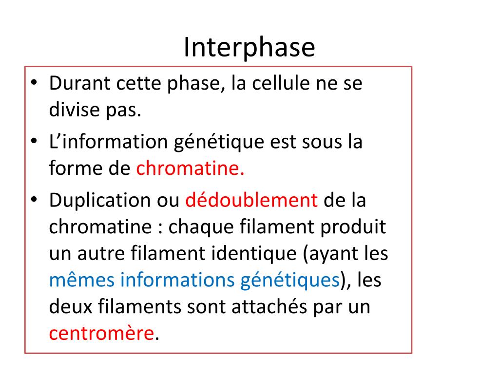 PPT - Chapitre 8: Reproduction conforme de l’information g énétique la ...