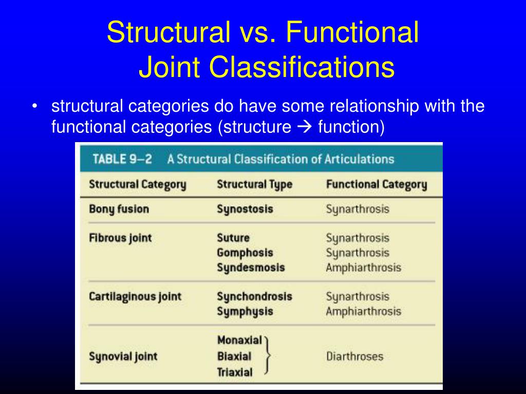 What Are Structural Classifications Of Joints At Lucy French Blog What Are Structural Classifications Of Joints At Lucy French Blog