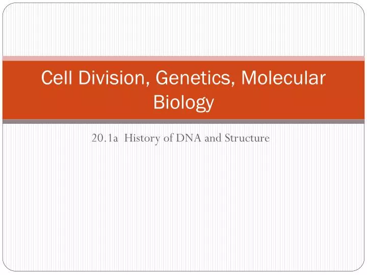 PPT - Cell Division, Genetics, Molecular Biology PowerPoint ...