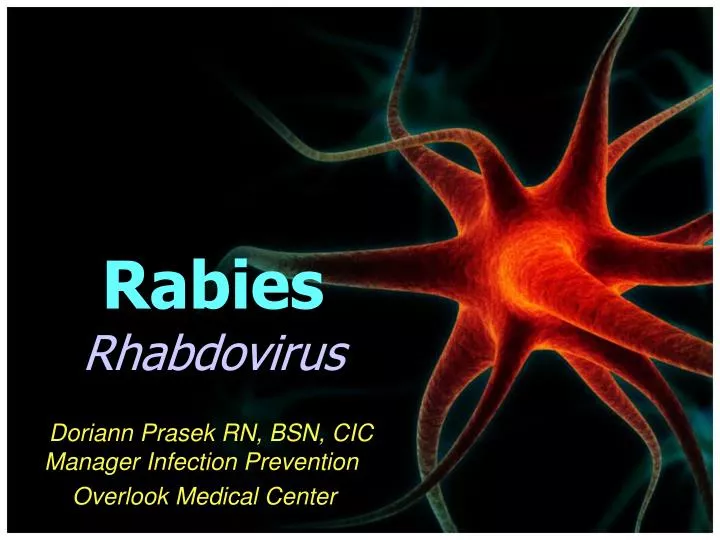 PPT - Rabies Rhabdovirus PowerPoint Presentation, free download - ID ...