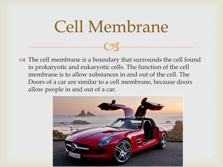 PPT - Cell to Car Analogy PowerPoint Presentation - ID:1985518
