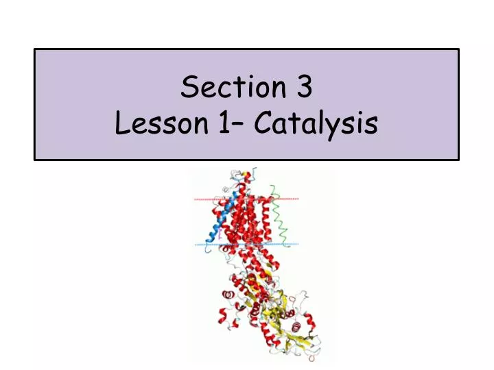 PPT - Section 3 Lesson 1 – Catalysis PowerPoint Presentation, free ... PPT - Section 3 Lesson 1 – Catalysis PowerPoint Presentation, free ...