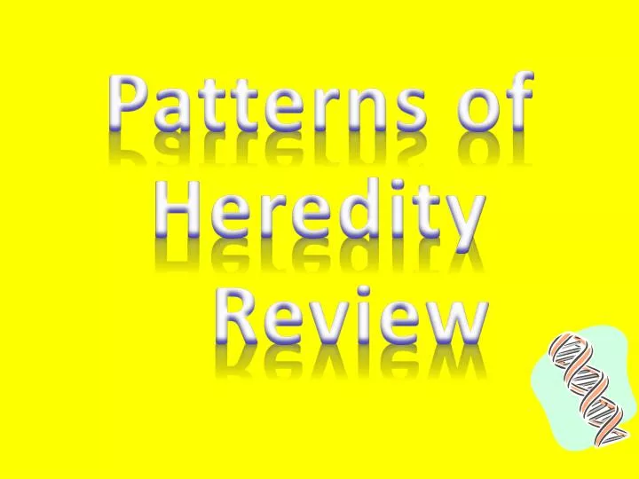 PPT - Patterns of Heredity Review PowerPoint Presentation, free ...