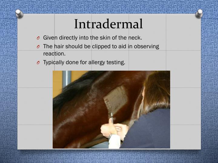 PPT - Injections “101” The Basics on Injection Types, Sites, and ...