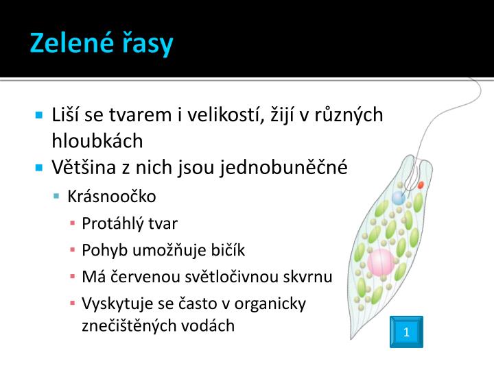 PPT - Zelené řasy, sinice, bakterie PowerPoint Presentation - ID:1985753
