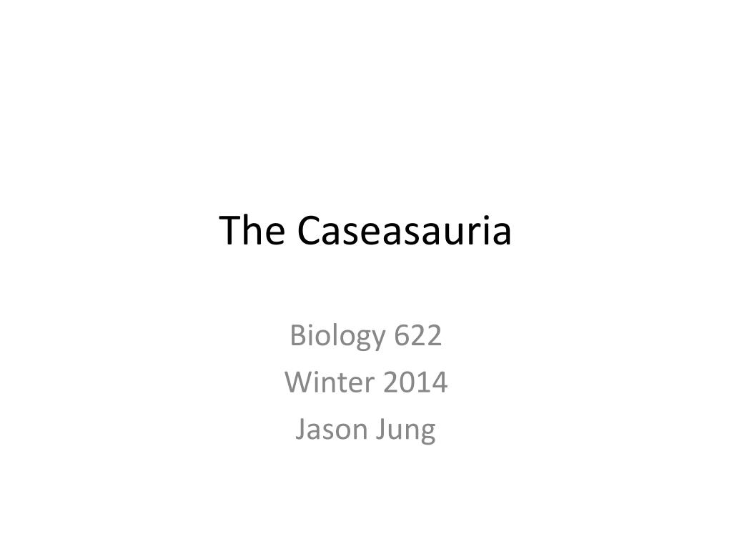 PPT - BIOLOGY 622 – FALL 2014 BASAL AMNIOTA - STRUCTURE AND PHYLOGENY ...