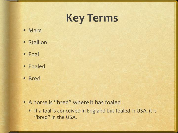 PPT - Horse Reproduction and Breeding PowerPoint Presentation - ID:1986591