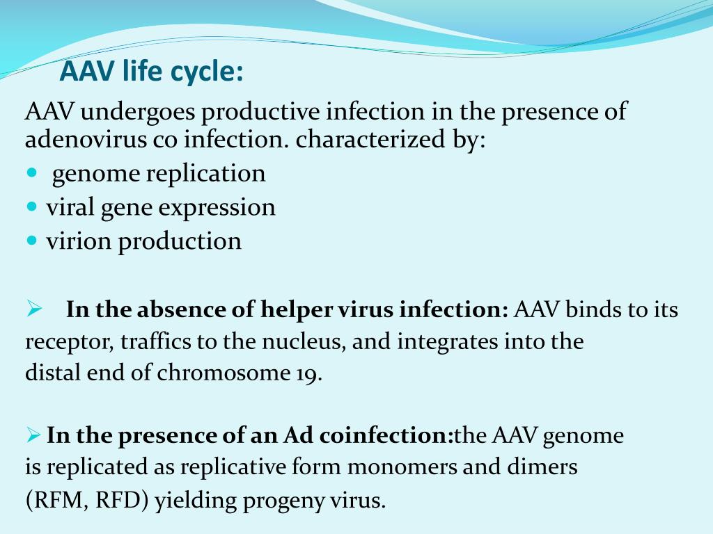 PPT - Gene therapy With Adeno -Associated Virus PowerPoint Presentation ...
