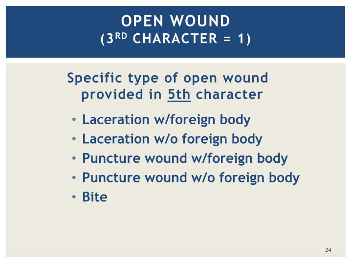 PPT - injury codes in ICD-10-CM PowerPoint Presentation - ID:1986815