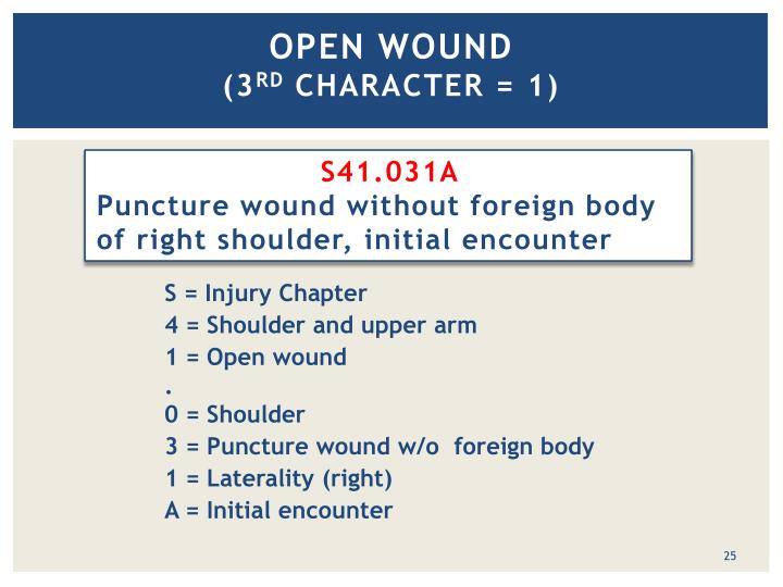 PPT - injury codes in ICD-10-CM PowerPoint Presentation - ID:1986815