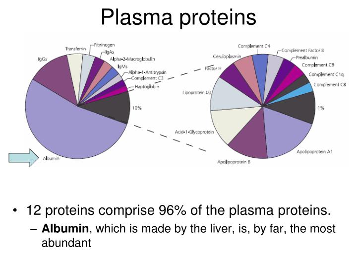 PPT - The Liver & Gallbladder PowerPoint Presentation - ID:1987239