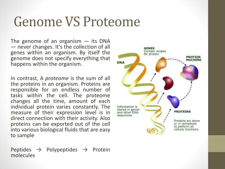 PPT - Current trends in quantitative proteomics PowerPoint Presentation ...