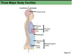 PPT - Chapter 3a PowerPoint Presentation - ID:1987862