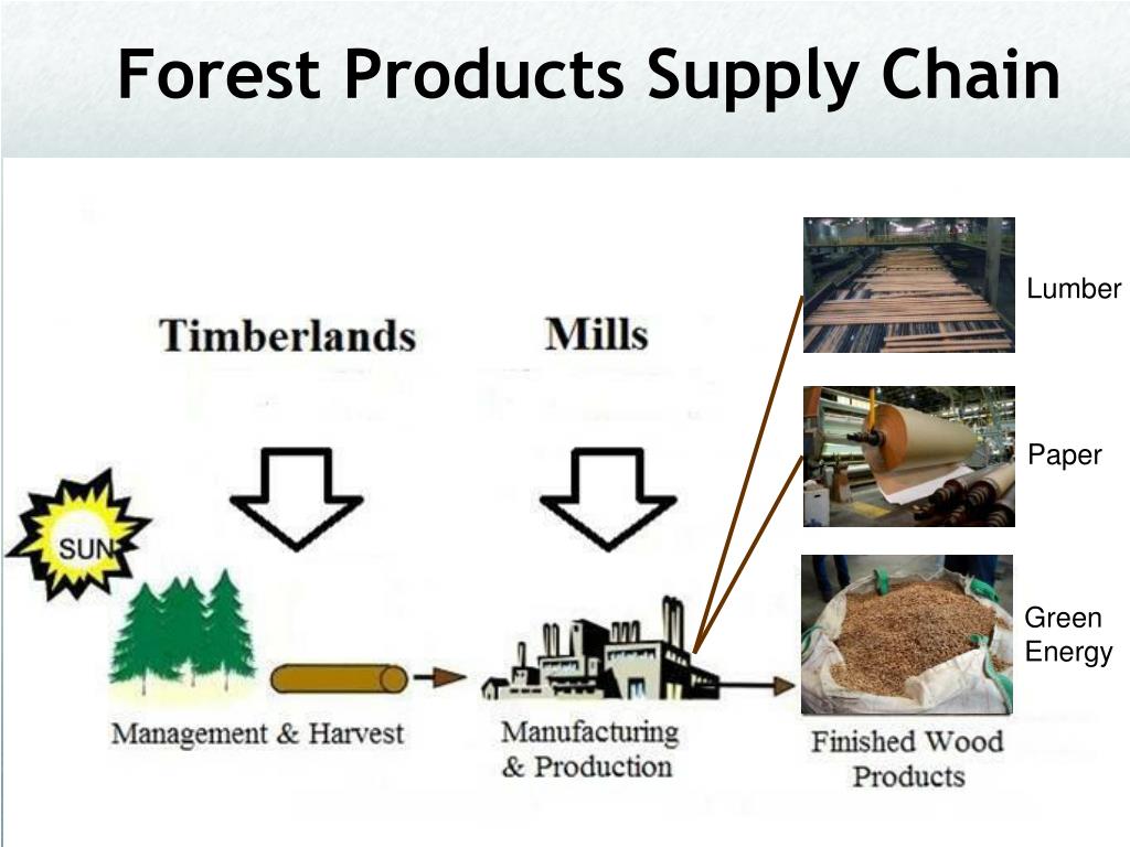 PPT - Washington State Forest Products Industry PowerPoint Presentation ...