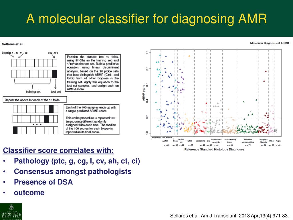 PPT - Microvascular inflammation and endothelial cell activation in ...